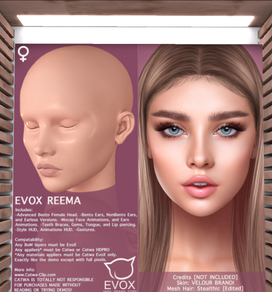 Mesh heads – virtualnws8.ca